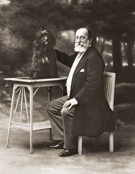 Camille Saint-Saëns 'Carnival of the Animals': A Grand Zoological Fantasy - Classicalexburns